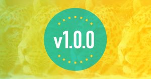 What Do Software Version Numbers Mean? | Praxent